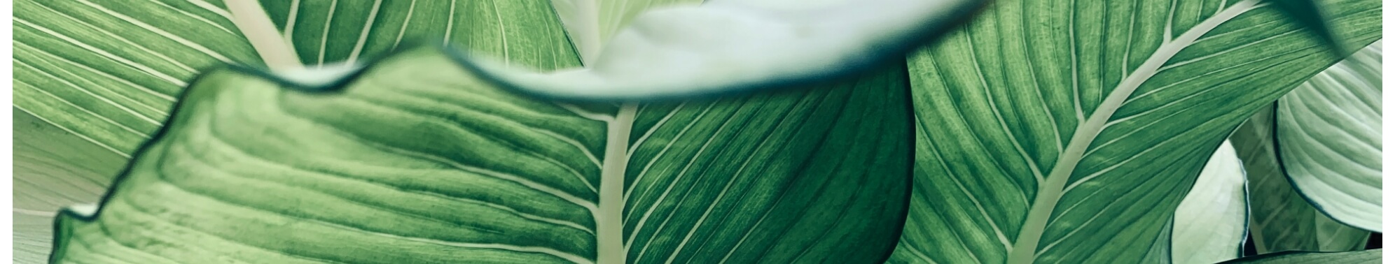 Maxim Label and Packaging